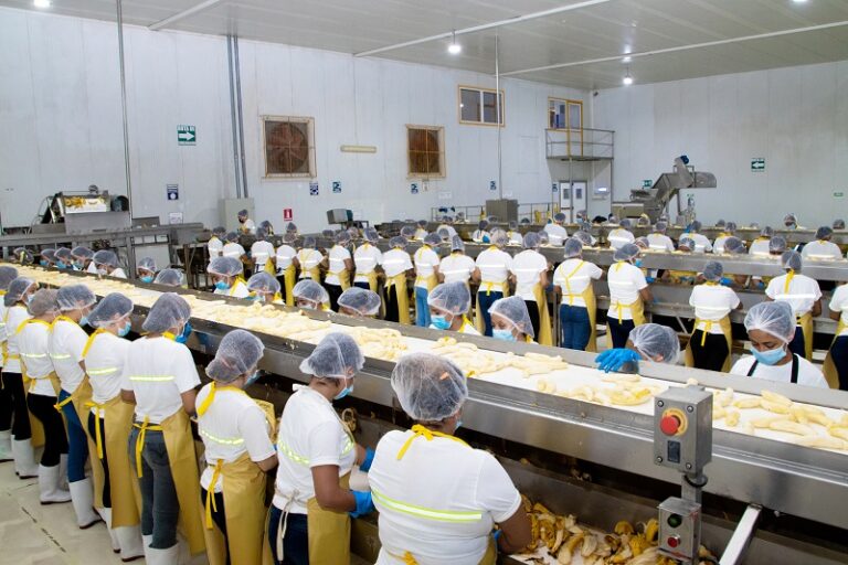 Antigua-About-us-Eng - Boecker Group